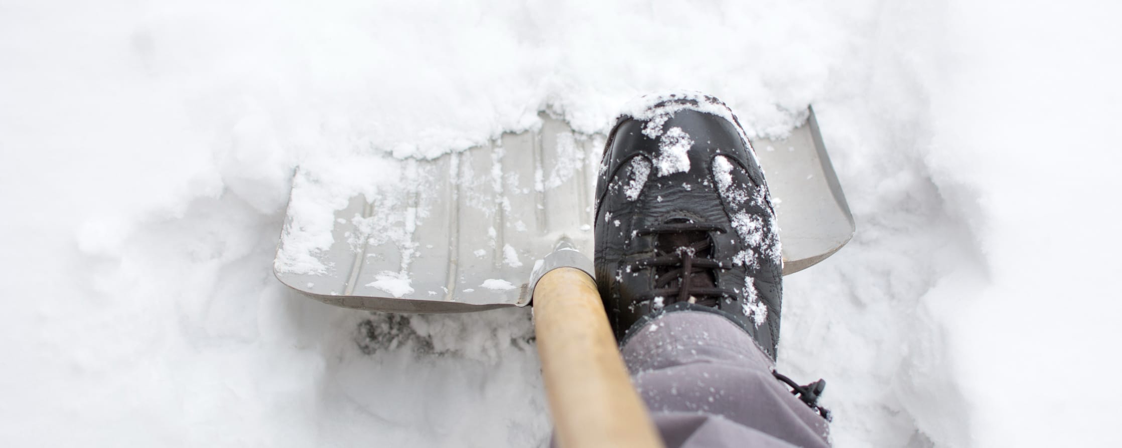 How to be a Snow Angel this winter - Genesis Land