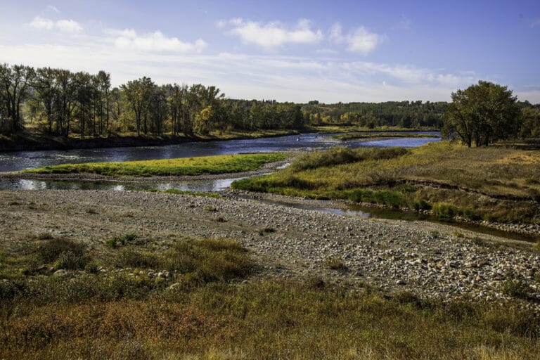 Logan Landing Awaits - Genesis Land